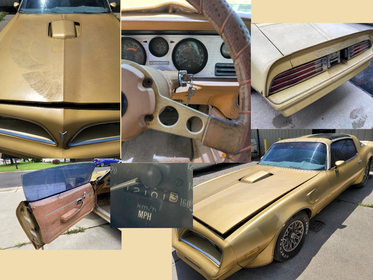 1978 Pontiac Firebird - Motortopia - EVERYTHING Automotive!